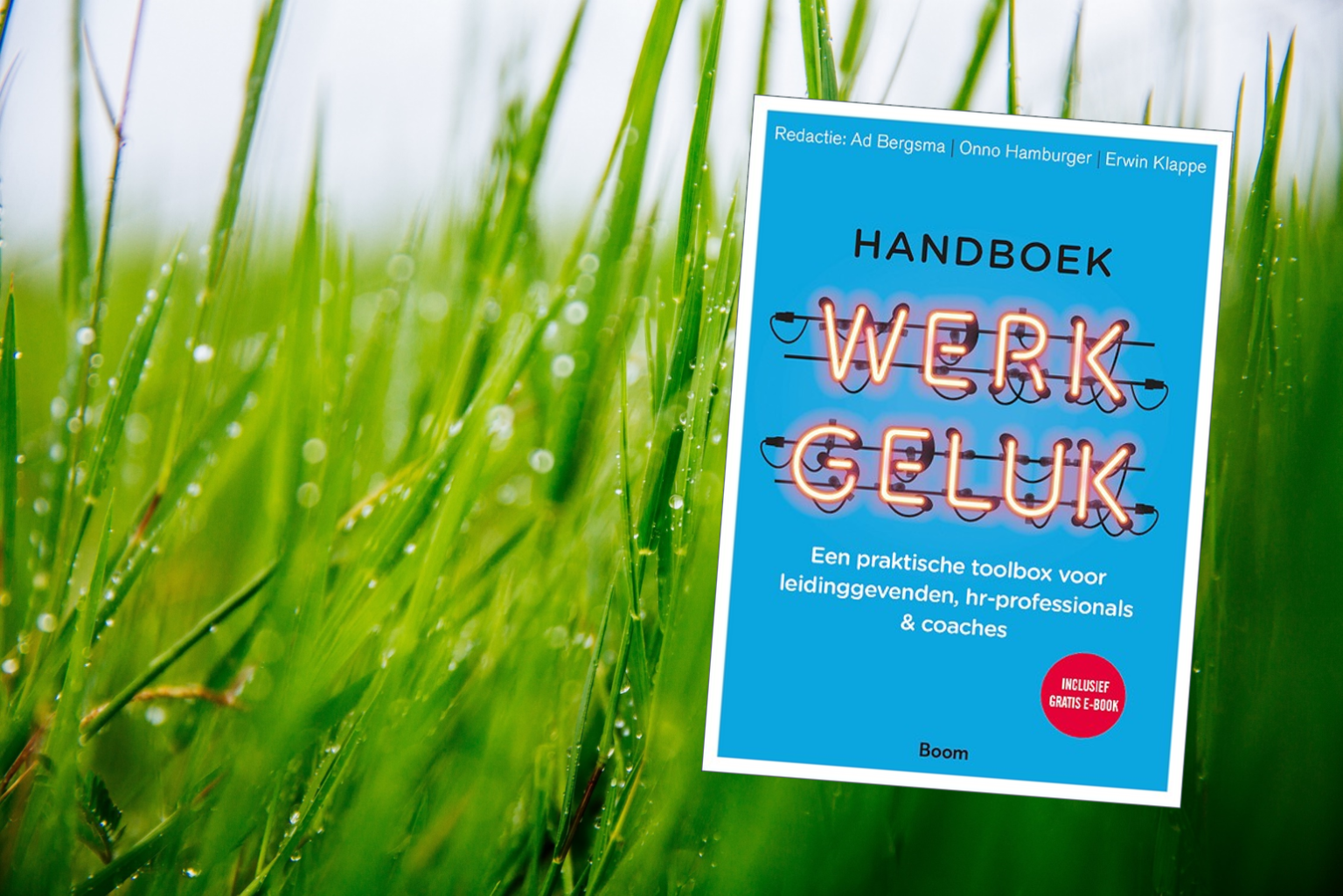 Handboek Werkgeluk - MonitorGroep